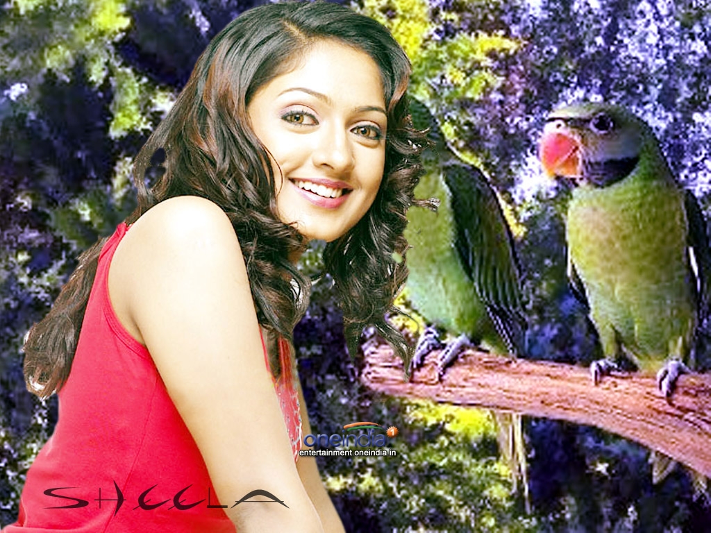 Sheela HQ Wallpapers | Sheela Wallpapers - 6884 - Oneindia Wallpapers