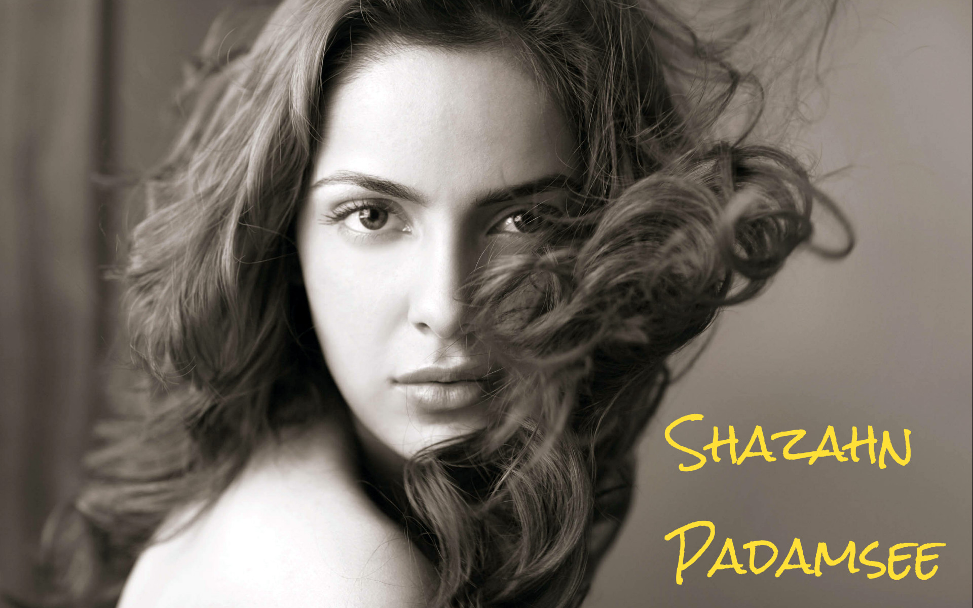Shazahn Padamsee HQ Wallpapers | Shazahn Padamsee Wallpapers - 9703 ...