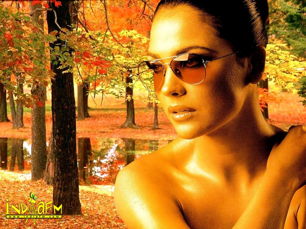 Lara Dutta HQ Wallpapers | Lara Dutta Wallpapers - 3307 - Oneindia ...