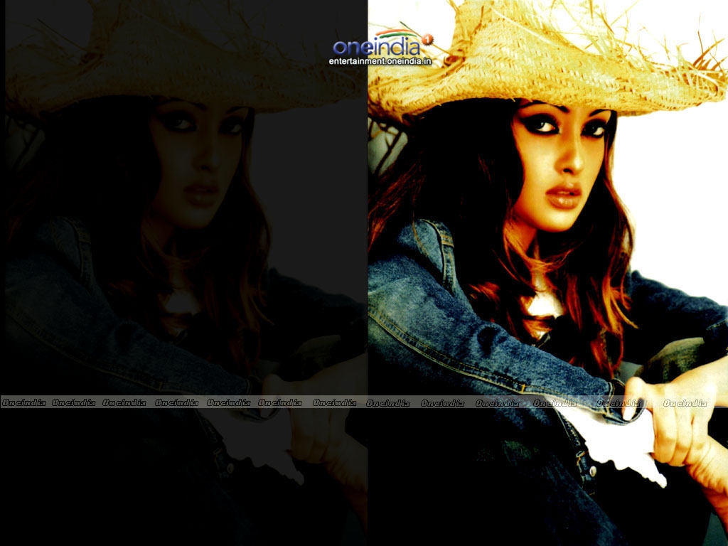 Riya Sen HQ Wallpapers | Riya Sen Wallpapers - 3837 - Oneindia Wallpapers