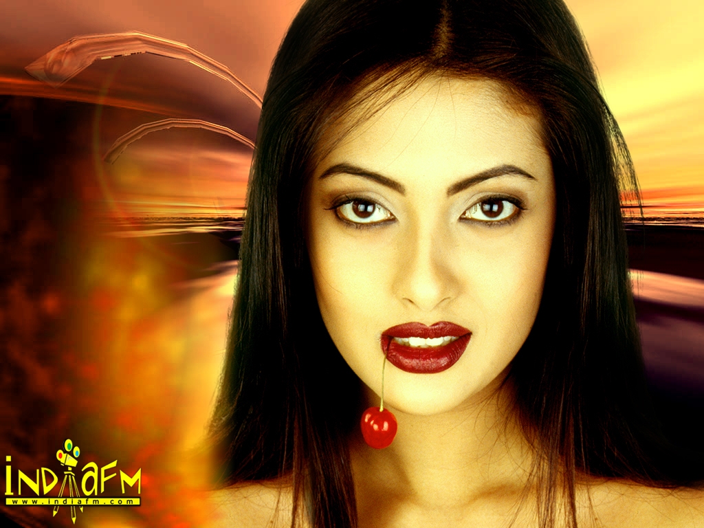 Riya Sen HQ Wallpapers | Riya Sen Wallpapers - 3864 - Oneindia Wallpapers