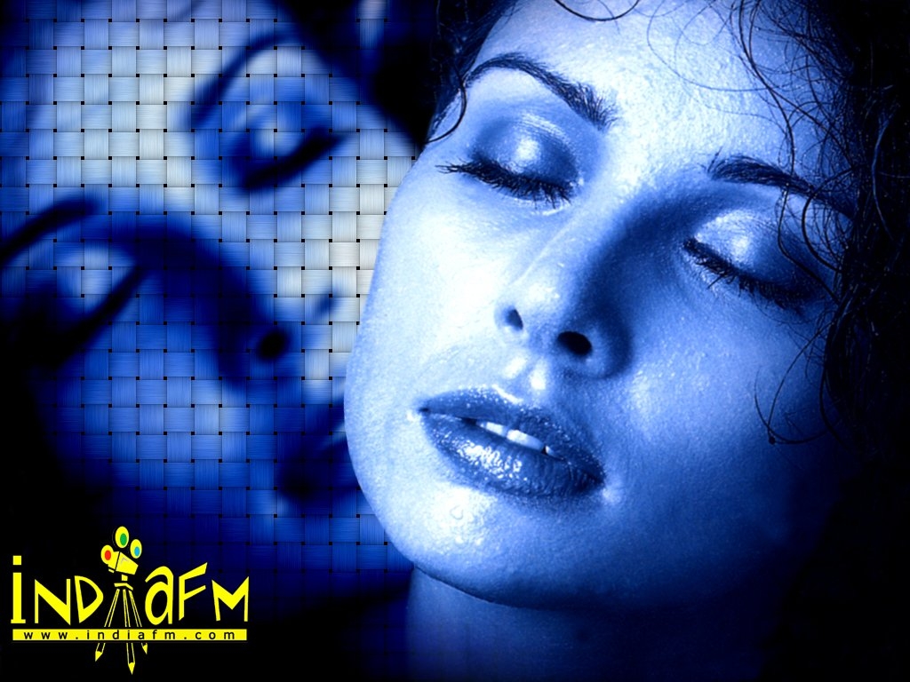 Lisa Ray HQ Wallpapers | Lisa Ray Wallpapers - 4601 - Oneindia Wallpapers