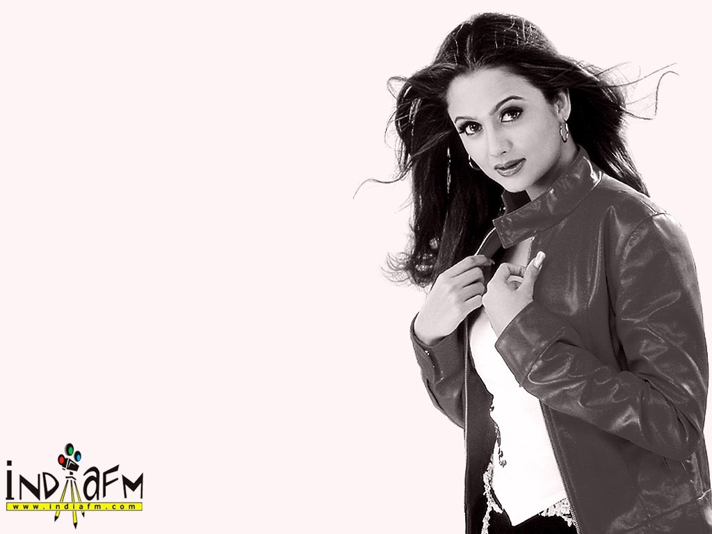 Amrita Arora HQ Wallpapers | Amrita Arora Wallpapers - 5073 - Oneindia ...