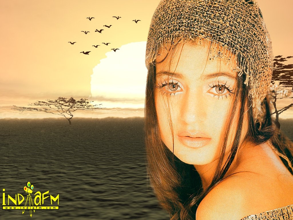 Amisha Patel HQ Wallpapers | Amisha Patel Wallpapers - 5553 - Oneindia ...