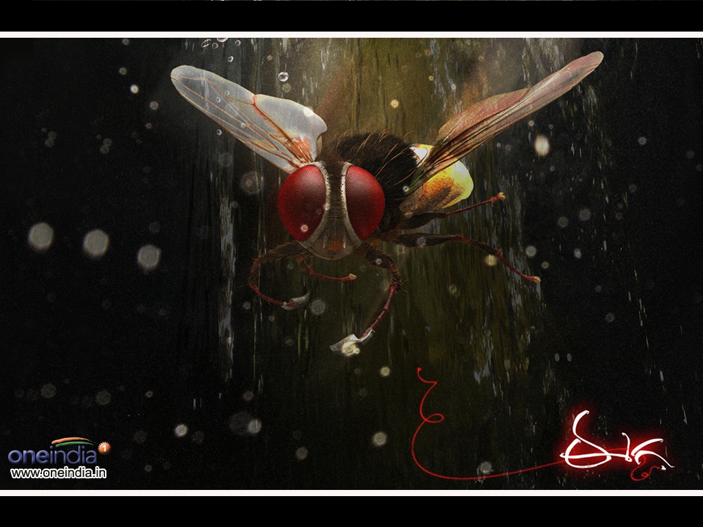 Eega HQ Movie Wallpapers | Eega HD Movie Wallpapers - 7421 - Oneindia ...