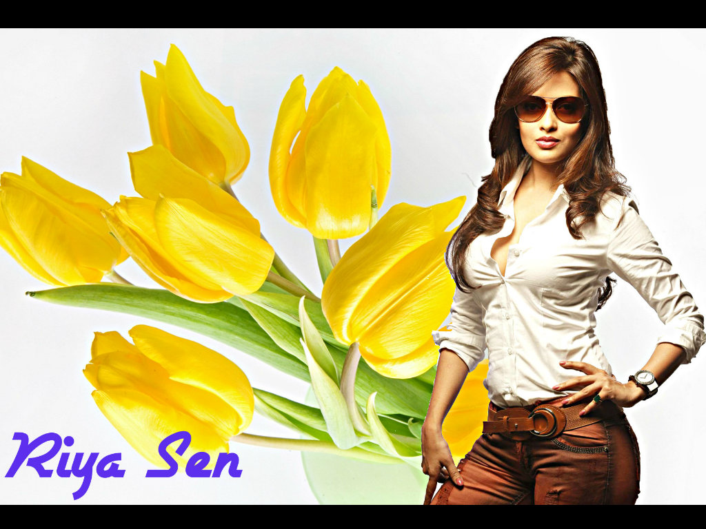Riya Sen HQ Wallpapers | Riya Sen Wallpapers - 9778 - Oneindia Wallpapers