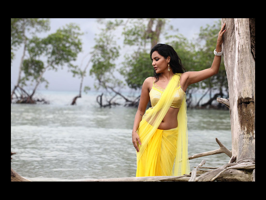 Priya Anand HQ Wallpapers | Priya Anand Wallpapers - 9997 - Oneindia ...