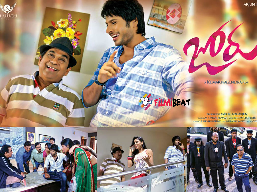 Joru Logo Fier Dakcontrol Over Groene Daken En Gevels.