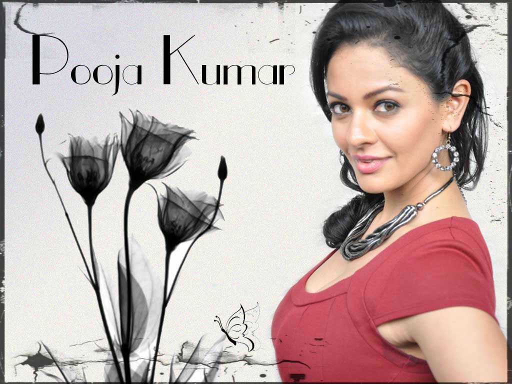 Pooja Kumar HQ Wallpapers | Pooja Kumar Wallpapers - 20635 - Oneindia Wallpapers