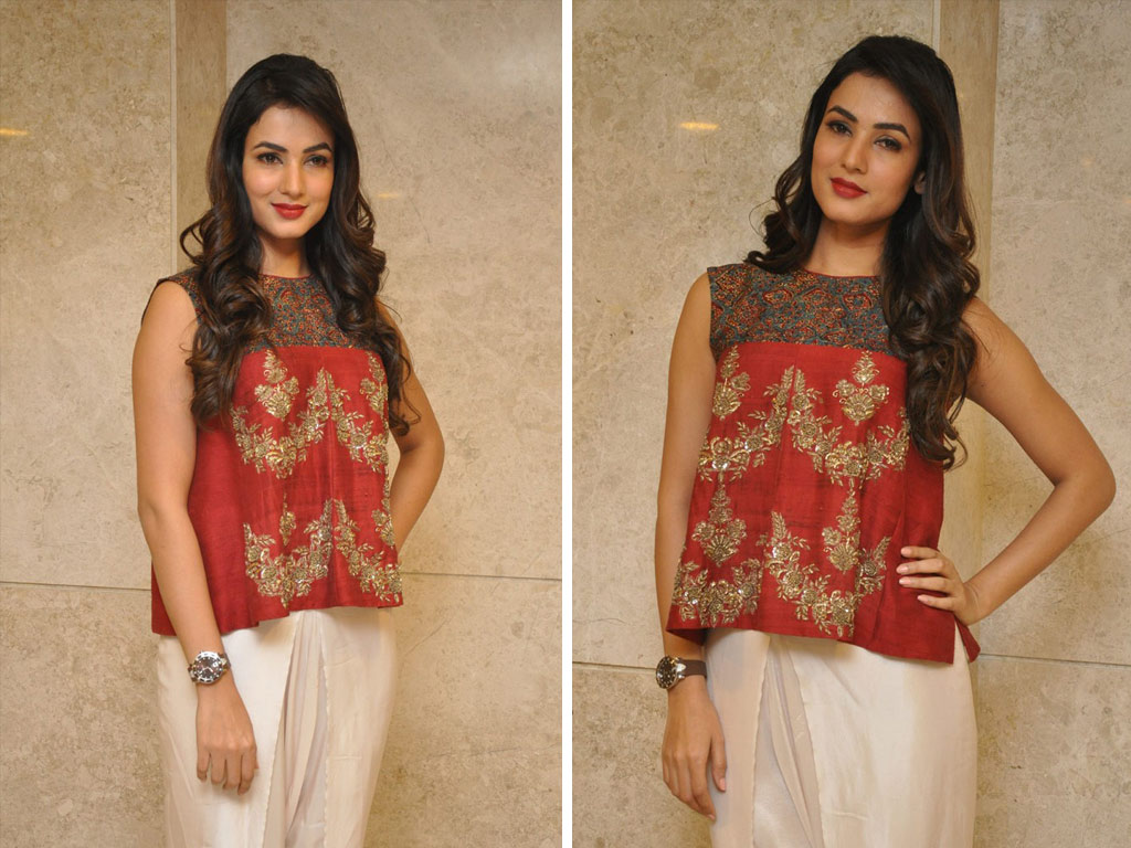 Sonal Chauhan HQ Wallpapers | Sonal Chauhan Wallpapers - 28927 ...