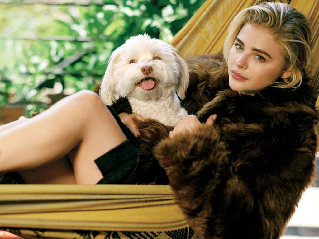 Chloe Moretz HQ Wallpapers | Chloe Moretz Wallpapers - 36396 - Oneindia ...