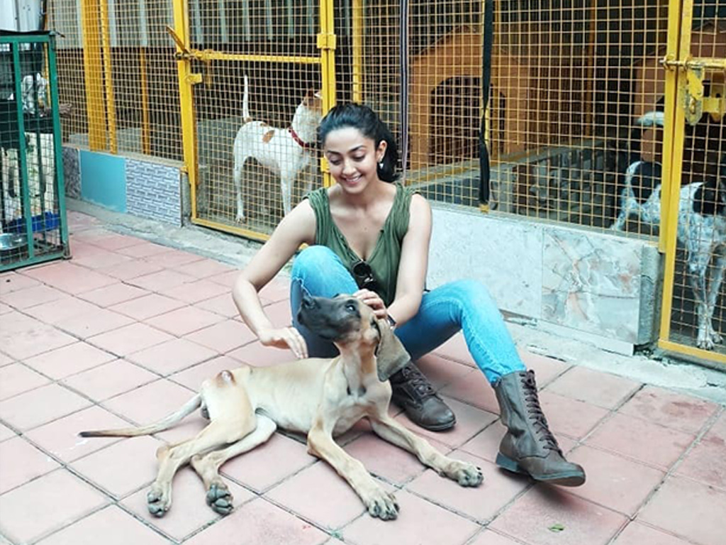 Aindrita Ray HQ Wallpapers | Aindrita Ray Wallpapers - 56662 - Oneindia ...